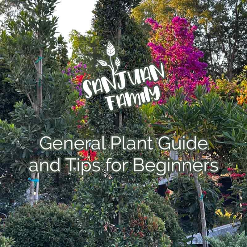 General Plant Guide & Tips for Beginners - Sanjuan Family Nursery