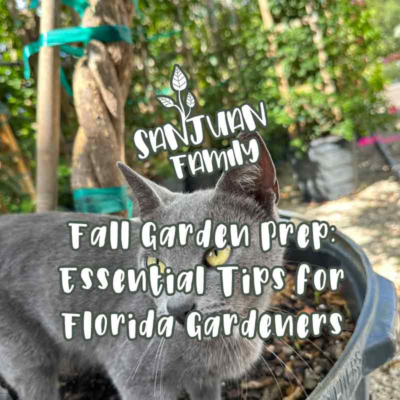 Fall Garden Prep: Essential Tips for Florida Gardeners - Sanjuan Family Nursery