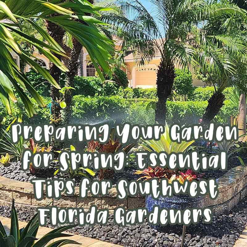 Preparing Your Garden for Spring: Essential Tips for Southwest Florida ...