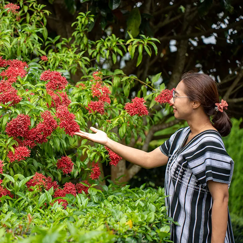 Heat-Tolerant Plants for a Thriving Summer Garden in Southwest Florida ...